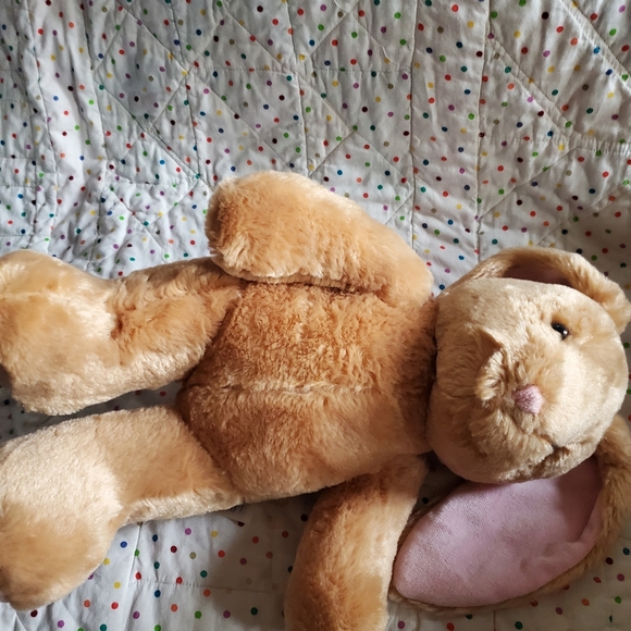 Build-A-Bear | Toys | Build A Bear Workshop Bunny Rabbit Stuffed Animal ...